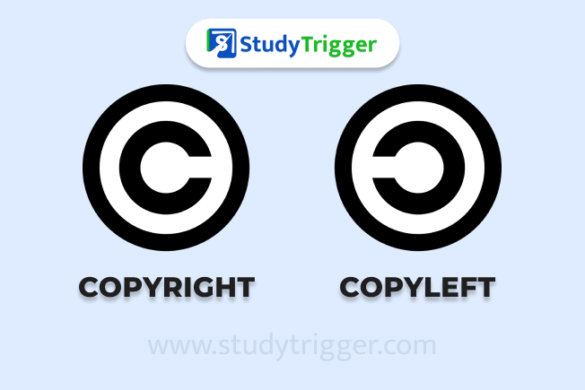 Societal Impacts Practice Questions with Solutions - Study Trigger