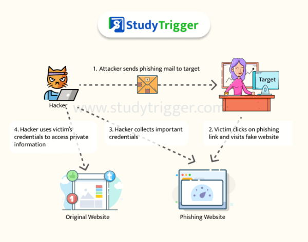 Societal Impacts Practice Questions with Solutions - Study Trigger