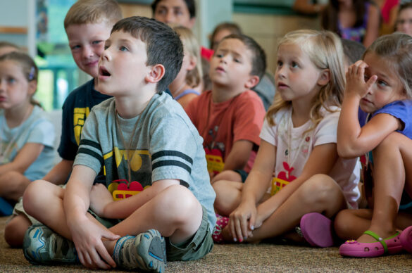 What Do Children Learn in Kindergarten? A Closer Look at the US Curriculum - Study Trigger