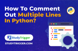 Societal Impacts Practice Questions with Solutions - Study Trigger