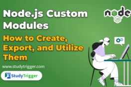 Study Trigger: K12 to College Online Tutoring & Study Material