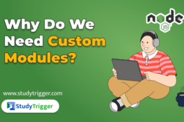 Study Trigger: K12 to College Online Tutoring & Study Material