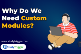 Study Trigger: K12 to College Online Tutoring & Study Material