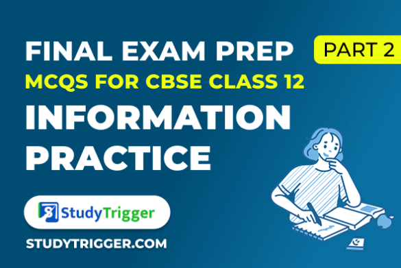 Final Exam Prep: MCQs for CBSE Class 12 Information Practice (Part-2) - Study Trigger