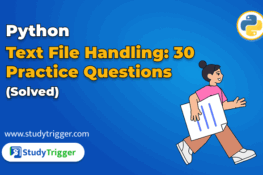 Image size reducer - Study Trigger